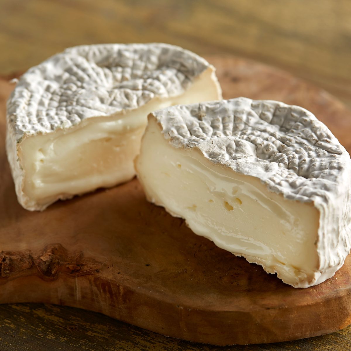 FireFly Farms Wins 3 Medals at the 2023 World Cheese Awards | FireFly Farms