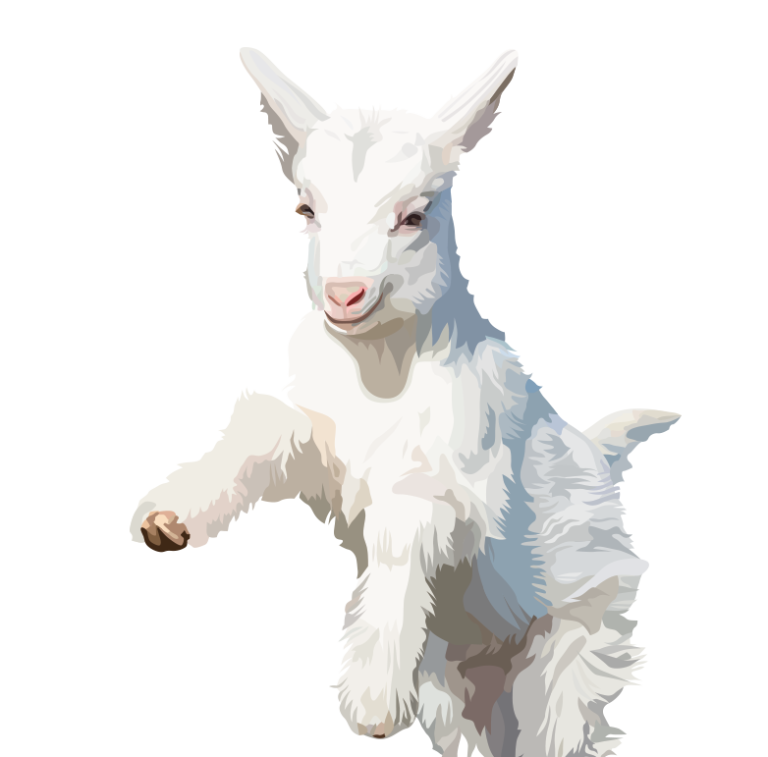 Merry Goat Round Spruce Reserve | FireFly Farms